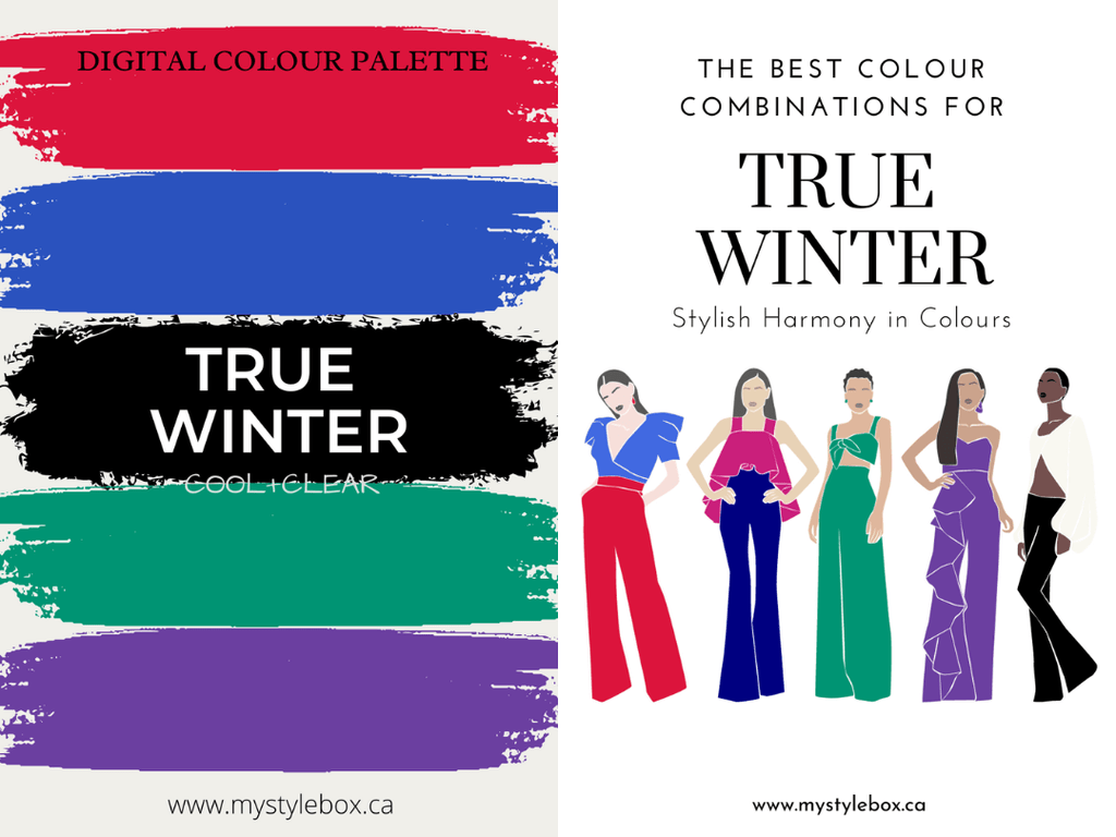True Winter Season Color Palette and Combinations Bundle